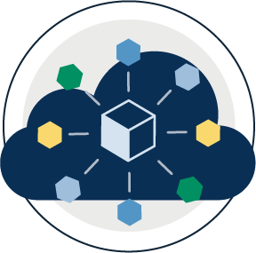 Fortis, the Leader in Embedded Payments